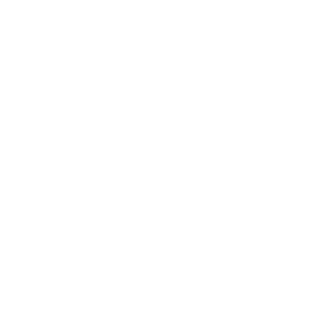 Hamsa Restaurant – Pan-Indian Vegetarian Cuisine
